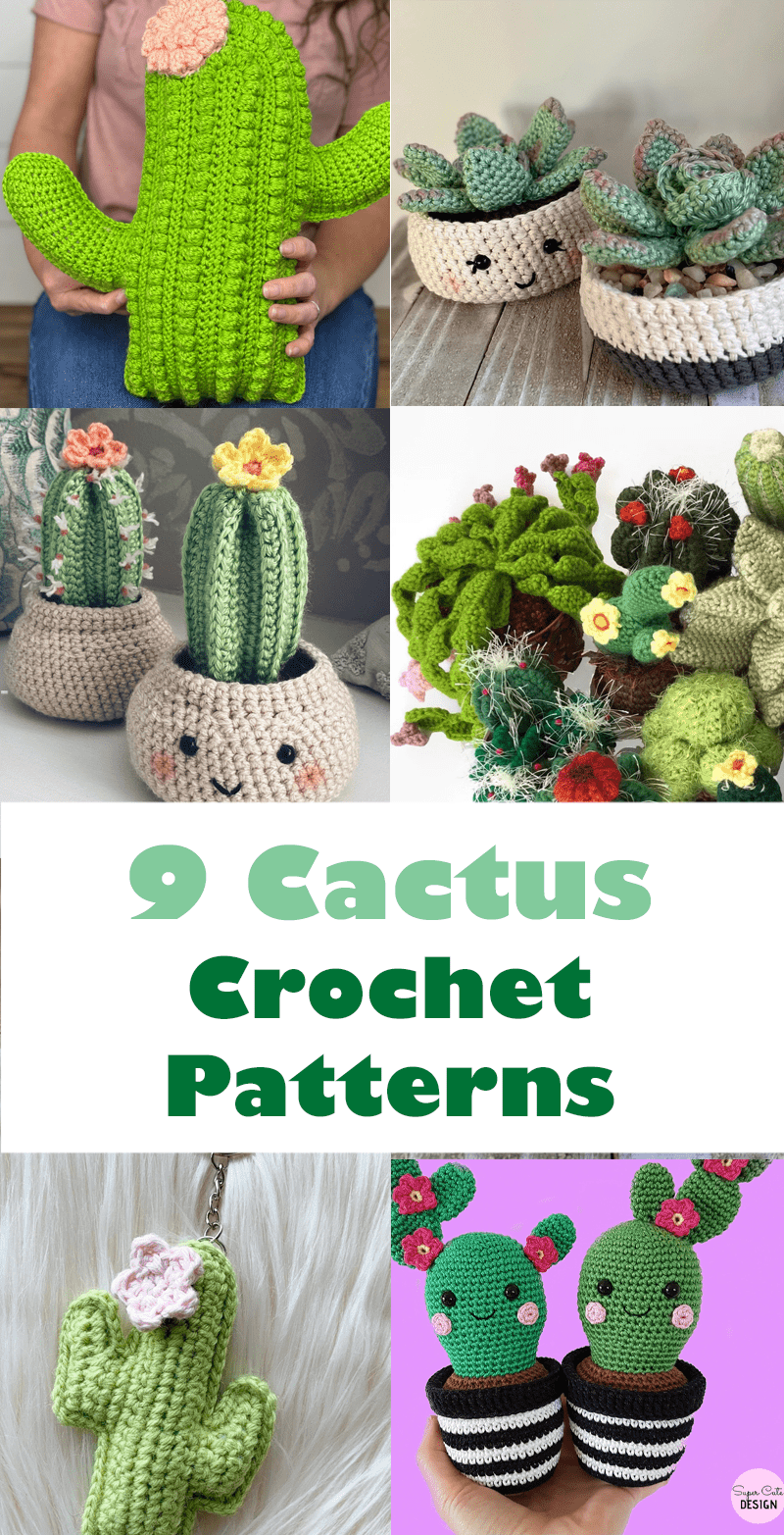 10 Cute Crochet Cactus Patterns to Make – Amigurumi - A More Crafty Life