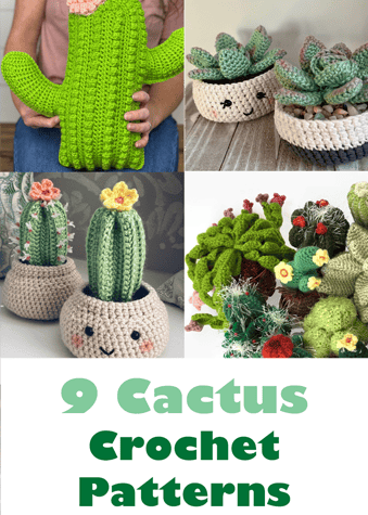 10 Cute Crochet Cactus Patterns to Make – Amigurumi - A More Crafty Life